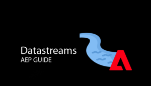 Adobe AEP Guide: Datastreams - Jimalytics Blog