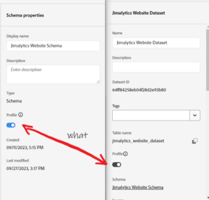 Adobe AEP Guide: Datasets - Jimalytics Blog